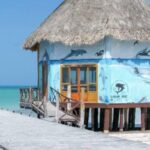 Tour 3 Islands in Holbox Premium Experience - Who Will Love This Tour?