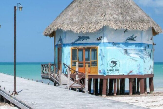 Tour 3 Islands in Holbox Premium Experience - Who Will Love This Tour?