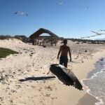 Tour a la Isla Coronados con actividad de esnorquel - Practical Details and Logistics