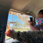 Tour "Bioparque" + Traslados + Tickets incluidos - Scenic Water and Mountain Views