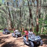 Tour in 4x4 ATVs inside the Dunes of Chachalacas, Veracruz - The Sum Up