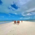 Tour in Italian in Holbox - Analyzing the Experience: Is It Worth It?