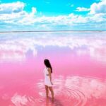 Tour Las Coloradas & Rio Lagartos only from Tulum - Wildlife & Ecological Insights