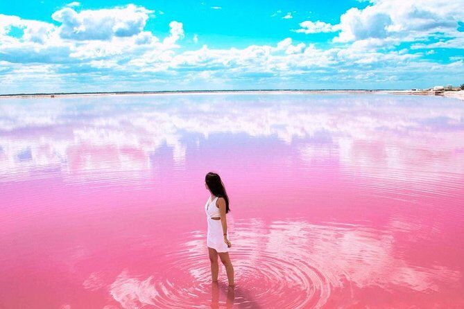 Tour Las Coloradas & Rio Lagartos only from Tulum - Wildlife & Ecological Insights