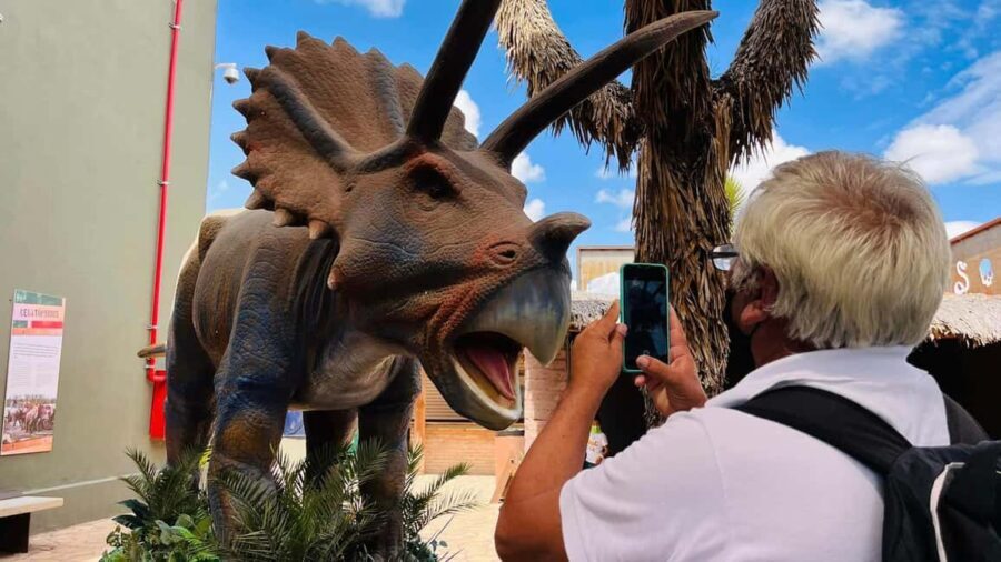 TOUR "Museo del Desierto" + Traslados + Tickets incluidos - The Historic Center of Saltillo