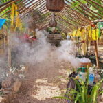 TOUR OF THE 4 BACABES : EXPERIENCE WITH MELIPONA BEES - What You Can Expect