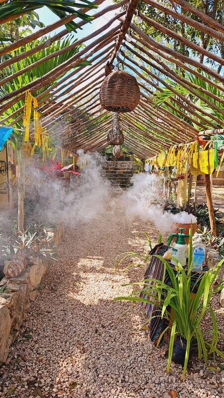 TOUR OF THE 4 BACABES : EXPERIENCE WITH MELIPONA BEES - What You Can Expect