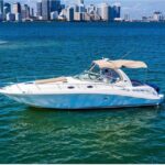 Tour of the city of Miami and its beautiful sunset - Why You Should Consider This Tour