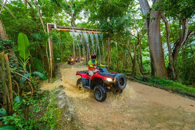 Tour of the only glass viewpoint in Puerto Vallarta - The Trails and Forest Experience