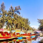 Tour of Xochimilco and The World of Frida Kahlo - Transportation and Group Size