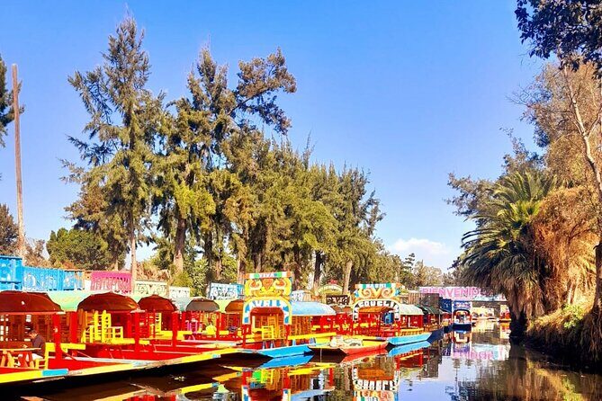 Tour of Xochimilco and The World of Frida Kahlo - Transportation and Group Size
