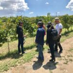 Tour "Parras de la Fuente" + Guía + Traslados + Tickets - Transportation & Group Size