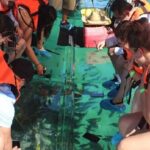 Tour the Arch, Land's End and more in Cabo's original Clear Boat - Who Will Love This Tour?
