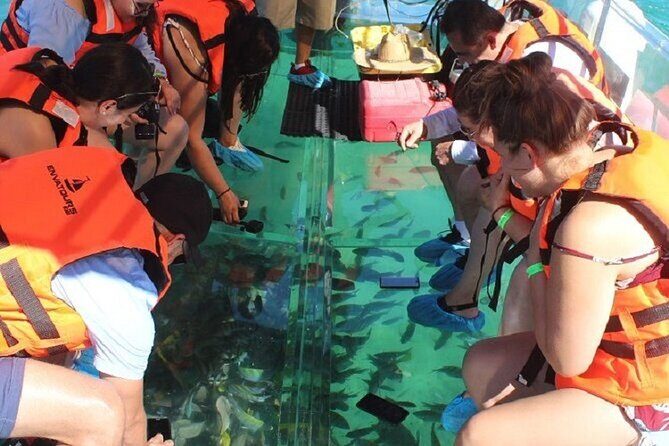 Tour the Arch, Land's End and more in Cabo's original Clear Boat - Who Will Love This Tour?
