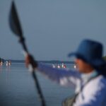 Tour the Mangroves in Kayak by Isla Holbox - The Sum Up