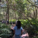 Tour to Celestún - Cost and Value Analysis