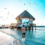 Tour to Holbox with food and transportation from Cancun, Playa del Carmen, and Tulum - A Deep Dive into the Holbox Day Trip