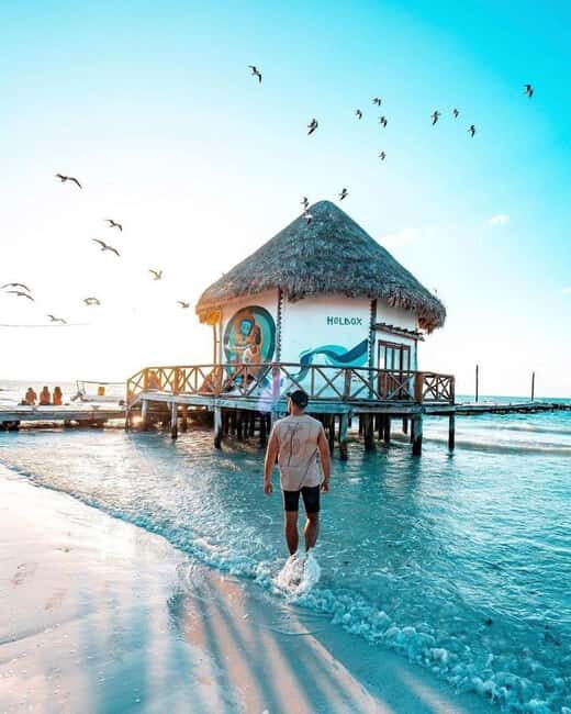 Tour to Holbox with food and transportation from Cancun, Playa del Carmen, and Tulum - A Deep Dive into the Holbox Day Trip