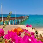 Tour to La Paz Playa Balandra Malecón and Todos Santos - An In-Depth Look at the Tour Experience