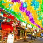 Tour to the Magical Town of Sayulita and San Pancho from Pto Vallarta - Who Should Consider This Tour?