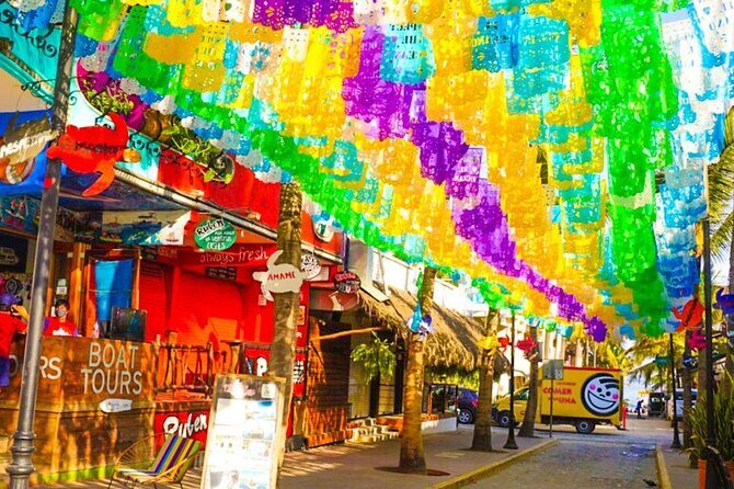 Tour to the Magical Town of Sayulita and San Pancho from Pto Vallarta - Who Should Consider This Tour?