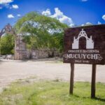 Tour to Uxmal and Hacienda Mucuyché included - Logistic Insights and Practical Tips