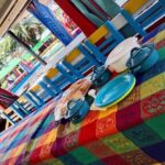 Tour to Xochimilco and Coyoacan and Frida Khalo - Who This Tour Is Perfect For