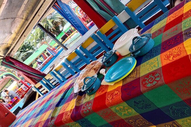 Tour to Xochimilco and Coyoacan and Frida Khalo - Who This Tour Is Perfect For