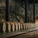 Tour & Wine Tasting San Miguel Vineyard / San Miguel Experience - The Panoramic Room and the Gourmet Pairing
