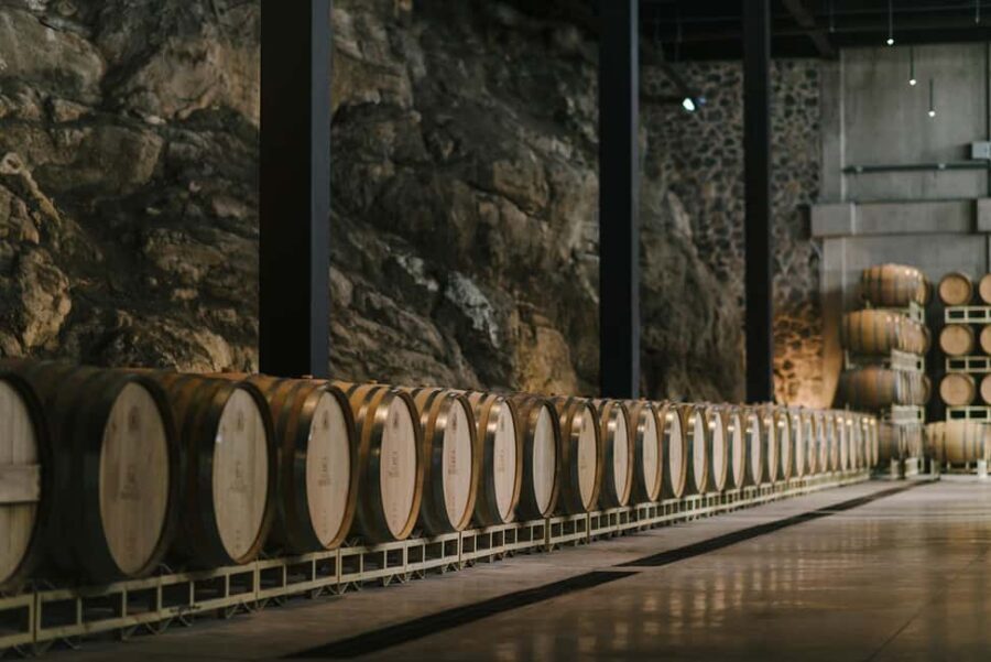 Tour & Wine Tasting San Miguel Vineyard / San Miguel Experience - The Panoramic Room and the Gourmet Pairing