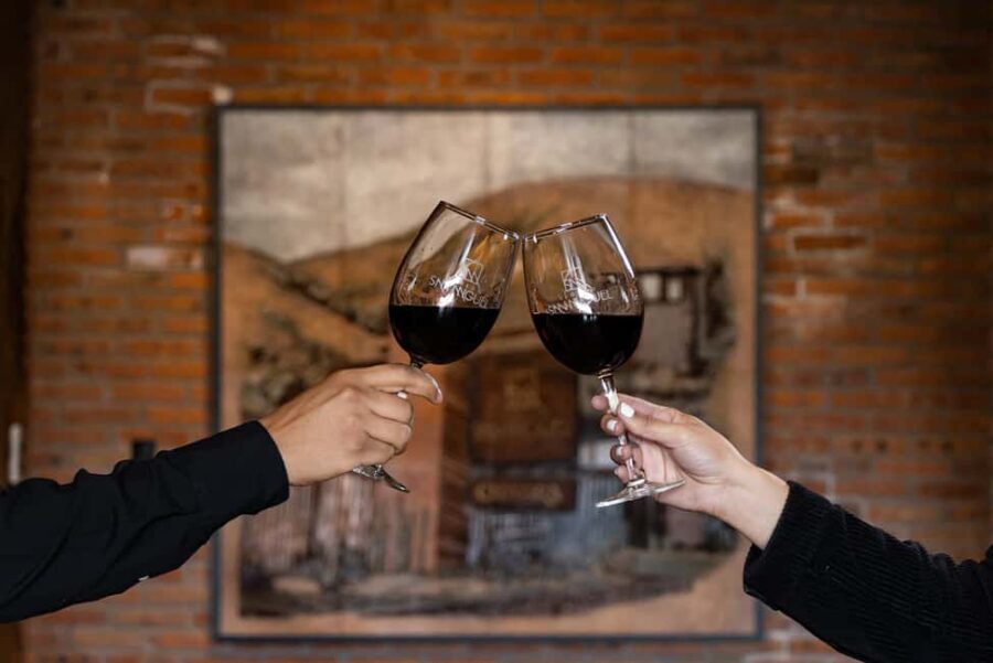 Tour & Wine Tasting Viñedo San Miguel / San Bartolo Experience - Who Should Consider This Tour?