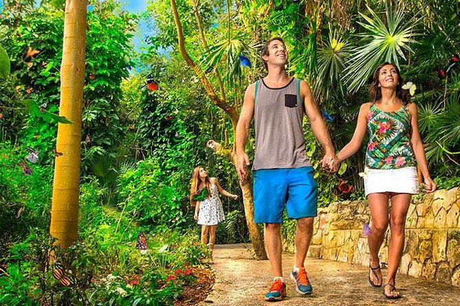 Tour Xcaret All Inclusive from Playa del Carmen - Included Transportation - The Experience from Reviews