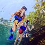 Tour Xel-Ha & Coba Ruins - One Day from Riviera Maya & Cancún - Transition to Xel-Ha: A Water-Based Paradise