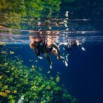Tour Xenotes Advenure From Cancun & Playa del Carmen - Analyzing the Value