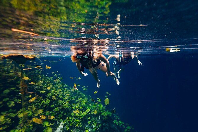 Tour Xenotes Advenure From Cancun & Playa del Carmen - Analyzing the Value
