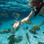 Tours_Miami_Day Trip To Key West From Miami_D662 38439P1 Review - The Value and Who It’s Best For