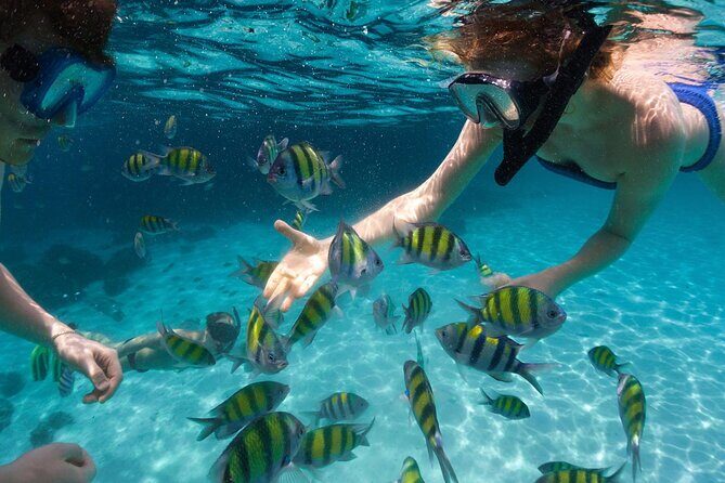 Tours_Miami_Day Trip To Key West From Miami_D662 38439P1 Review - The Value and Who It’s Best For