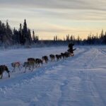 Traditional Dog Sledding Adventure in Yellowknife - The Scenic Beauty