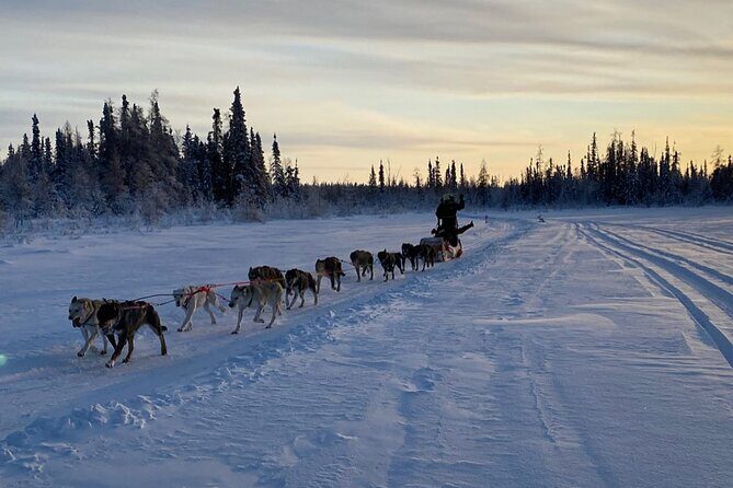 Traditional Dog Sledding Adventure in Yellowknife - The Scenic Beauty