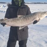 Traditional Ice Fishing with Net Pull and Lunch - Why This Tour Offers Good Value
