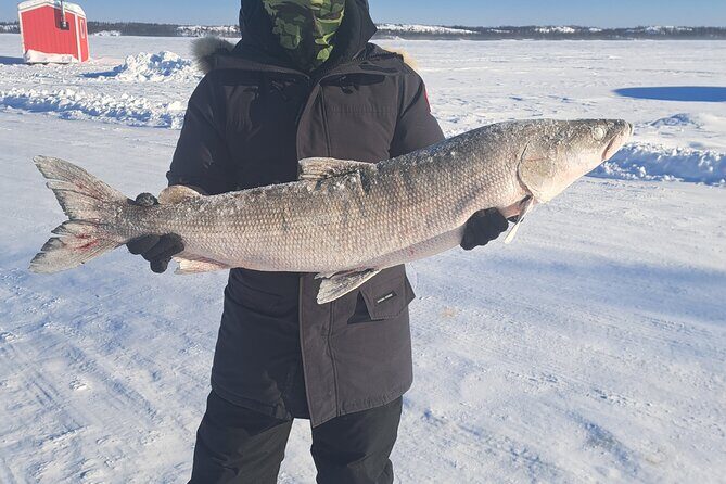 Traditional Ice Fishing with Net Pull and Lunch - Why This Tour Offers Good Value