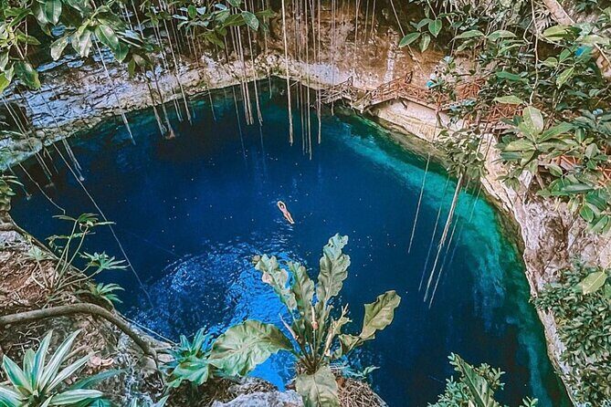 Traditional Temazcal Ceremony and Cenote Experience - What to Expect: A Deeper Look