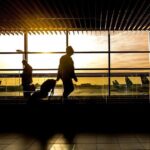 Transfer Niagara Falls, Canada to Toronto Pearson International Airport YYZ - Why Travelers Love This Service