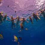 Transparent Boat Tour in Cozumel: See Marine Life Up Close - What Makes This Tour Stand Out?