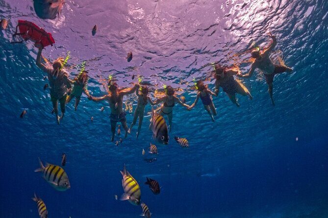 Transparent Boat Tour in Cozumel: See Marine Life Up Close - What Makes This Tour Stand Out?