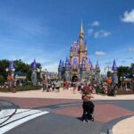 Transportation from Disney & Universal to Orlando Airport (MCO) - A Closer Look at the Experience