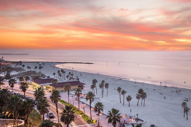 Transportation to Cruises (Cape Canaveral) - The Vehicles and Comfort