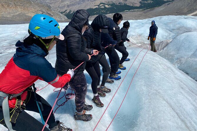 Tread Lightly Glacier Hikes - Authentic Experiences and Genuine Reviews