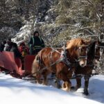 Tremblant Sleighride - The Reviewers Say