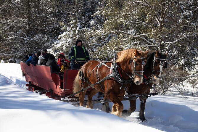 Tremblant Sleighride - The Reviewers Say